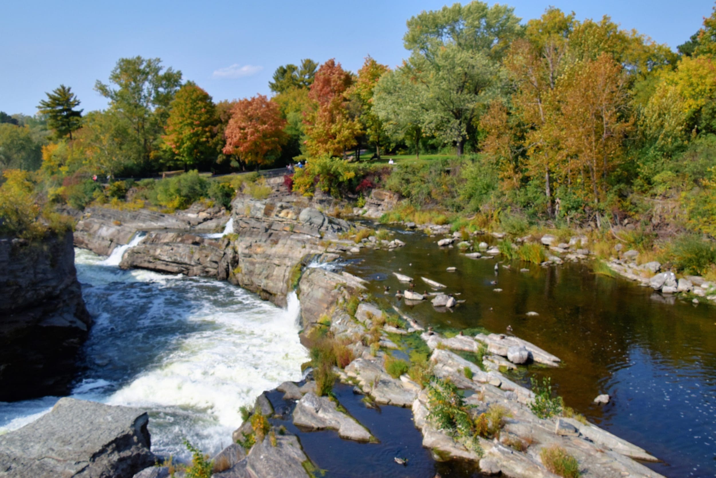 The Best of Ottawa: Fall Edition | Manotick Real Estate Agents